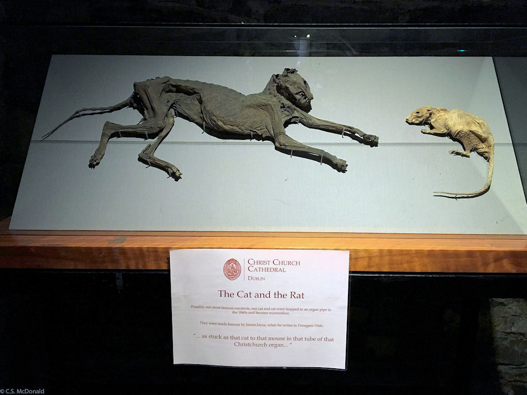 Irish Mummies – The Devil's Muse